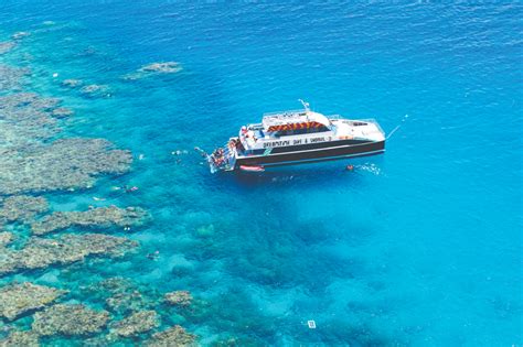 Cairns Snorkelling And Diving Tours 5 Hour Outer Great Barrier Reef Trip