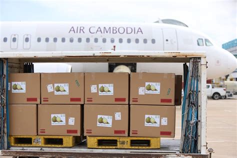 កម្ពុជាចាប់ផ្ដើមដឹកជញ្ជូន «ទុរេនស្រស់ ទៅប្រទេសចិនតាមផ្លូវអាកាស