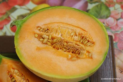Cantaloupe Melone Anbauen Pflanzen Selber Ziehen Anleitung