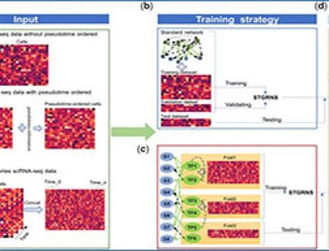 Comparative Evaluation Of Gene Set Analysis Approaches For Rna Seq Data