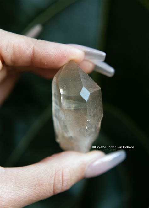 Window Traditional Iris Unique