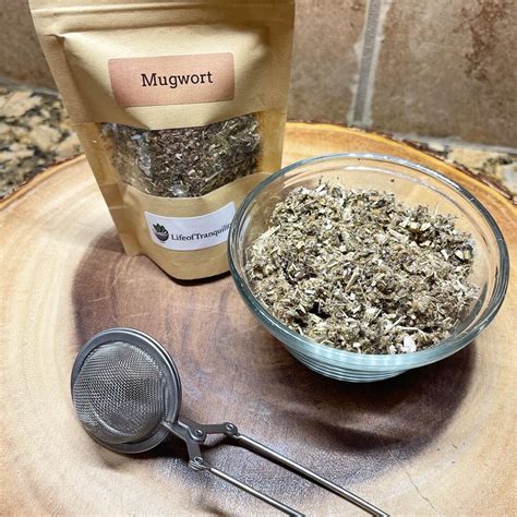 Dried Mugwort Herb Etsy