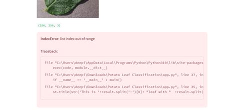 Leaf Disease Detection Using Streamlit Streamlit