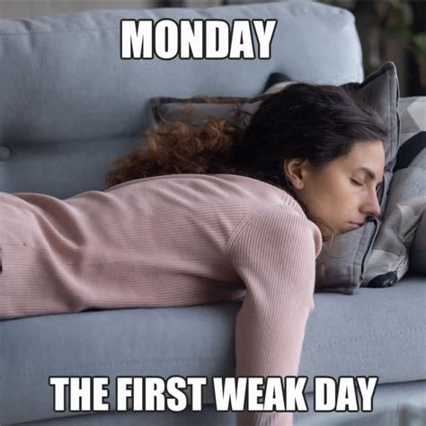 21 Funny Monday Memes To Make You Laugh