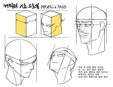Pin By Alexandre Caron On Draw Tutorials Drawing Tutorial Face Drawing Tutorial Anatomy