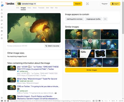 Yandex “similar Images” Bug Rimagus