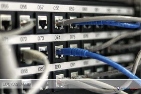 Apa Itu Arsitektur Jaringan Panduan Lengkap Dan Fungsinya