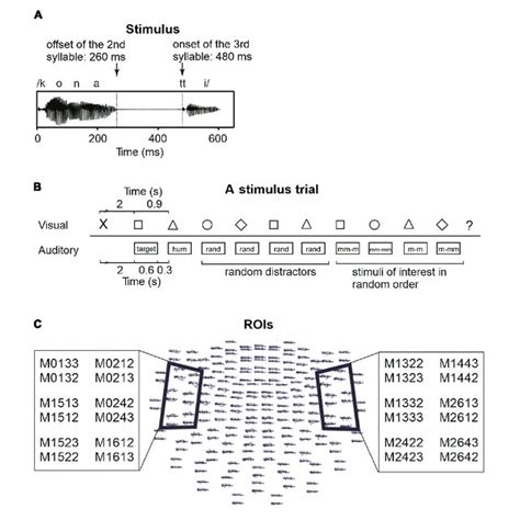 Depiction Of The Nspt In The Nspt There Were 28 Target Signs Each