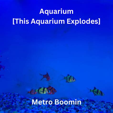 Stream Introduction To Aquarium Demo By Jonathan Tuan Tran Listen Online For Free On Soundcloud