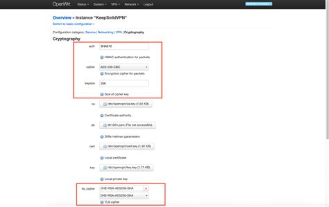 How To Configure OpenVPN Client On Router VPN Unlimited