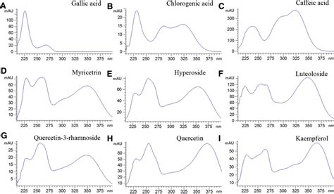 The Uv Absorption Spectroscopy Of The Components In Polygoni Avicularis Download Scientific