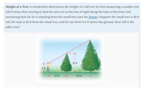 Solved Height Of A Tree A Woodcutter Determines The Height Chegg Com