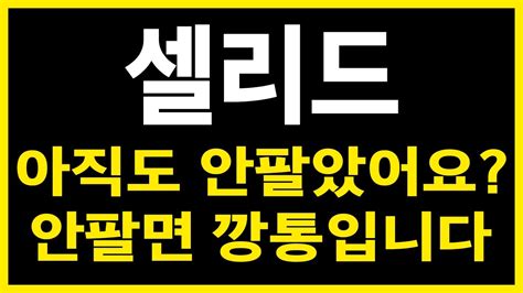 셀리드 주가 전망 긴급 결국 또 당했네요 이 때 반등타점 나옵니다 반드시 꼭 체크하셔서 대응하시길 바랍니다 셀