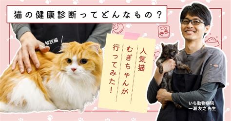 猫の健康診断ってどんなもの？② 解説編「健康診断で何がわかるの？」 ハグわん ハグにゃん 日本全薬工業株式会社