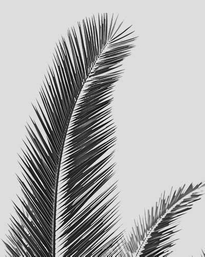 How Sasmo Exam Is Different Than Indian Olympiad Exams Indian Online