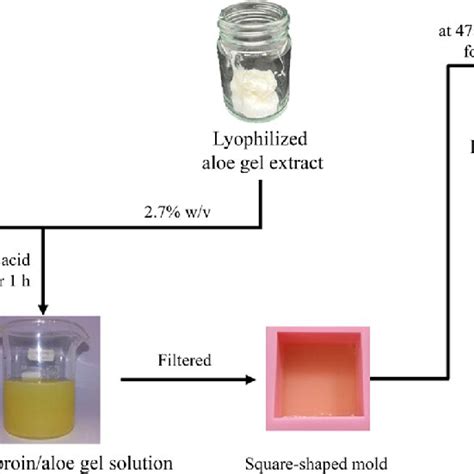 Preparation Procedure Of The Blended Fibroin Aloe Gel Extract Film