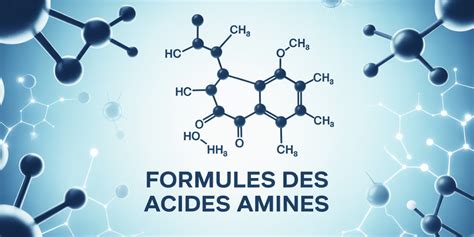 Formules Des Acides Aminés Comprendre La Base Des Protéines