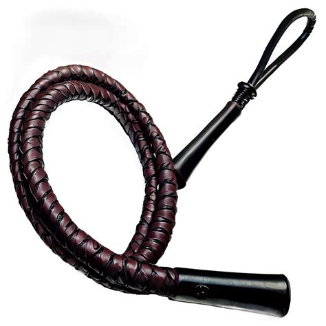 Whip Png Images 100