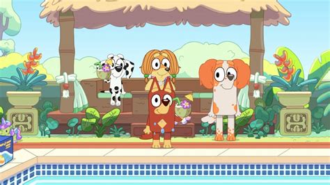 Bluey Mia Indie Chloe And Rusty And Swimming At The Pool Youtube