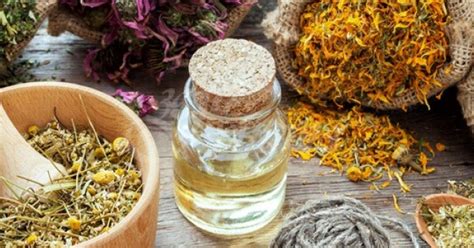 Дълбоко прочистване на черния дроб и възстановяване на клетките му За Жената