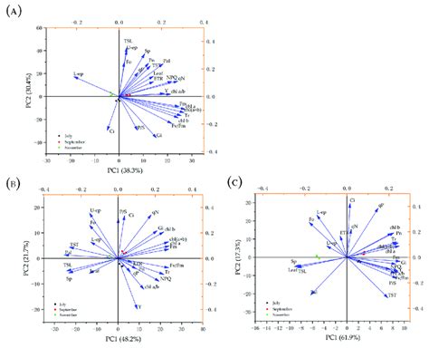 Principal Component Analysis PCA Describing The Responses Of Q Download Scientific Diagram