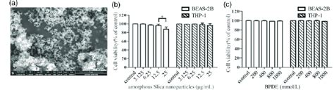 A Representative Electron Microscopic Image Of Amorphous Silica Download Scientific Diagram