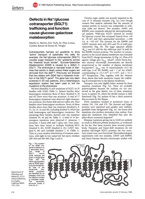 Pdf Defects In Naglucose Cotransporter Sglt1 Trafficking And