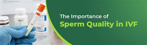 The Importance Of Sperm Quality In Ivf A Comprehensive Overview By Phs