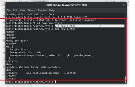 Configuring D Server On Docker Container And Setting Up Python