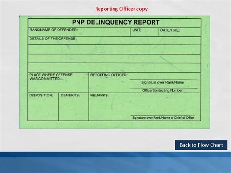 Supplemental Guidelines On The Delinquency Report System Strengthening