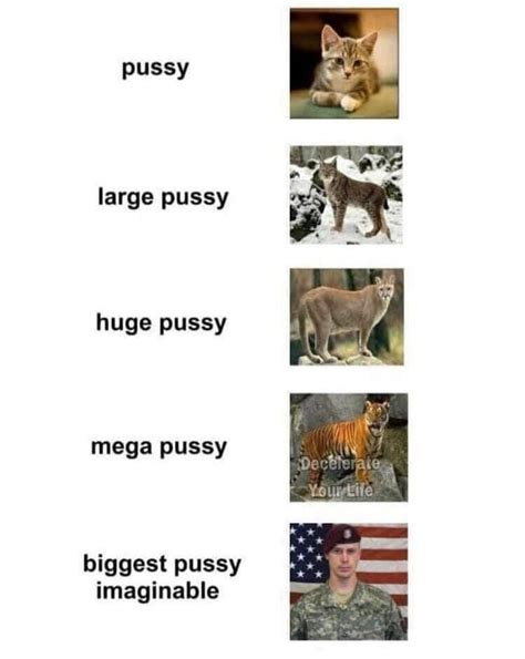 Pussy Large Pussy Huge Pussy Mega Pussy Biggest Pussy Imaginable