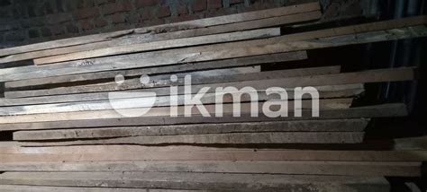 කොහොඹ ලෑලි For Sale In Galewela Ikman