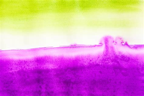 무료 이미지 햇빛 아침 조직 자 꽃잎 젖은 여름 녹색 색깔 고요한 담홍색 수채화 쾌활한 배경 제비꽃 코스 영상 마젠타 매크로 사진 축적