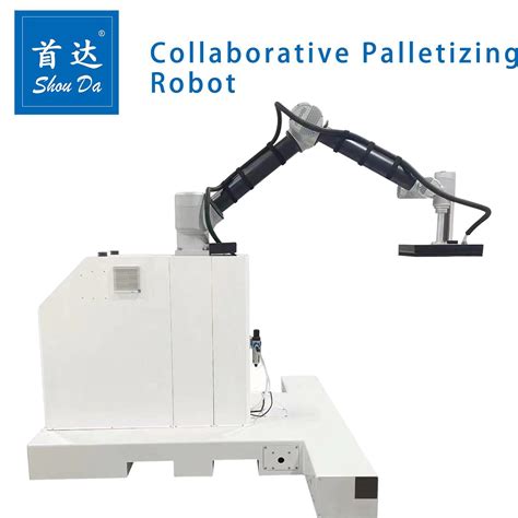 Innovative Robot Palletizer Machine For Carton Case Box Bag Palletizing With Low Maintenance