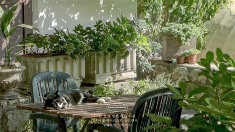 𝐏𝐥𝐚𝐲𝐥𝐢𝐬𝐭 상쾌한 아침을 위한 팝송 모음 Youtube Music