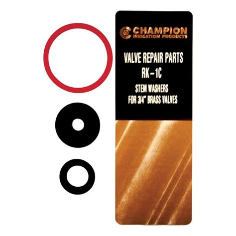 Champion 1 L Stem Gasket Kit