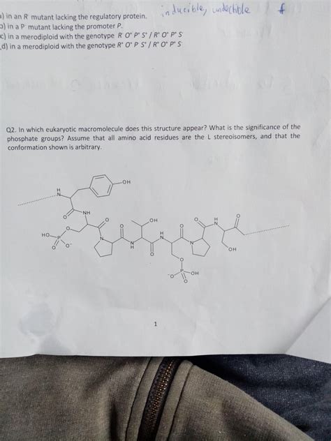 College Genetics Not Sure Where This Structure Comes From R