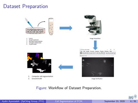 Deep Learning Based Segmentation Pipeline For Label Free Phase Contrast