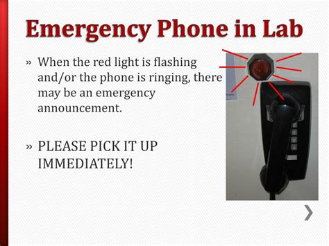 Ppt Tamucc Bims And Microbiology Lab Safety Orientation Powerpoint