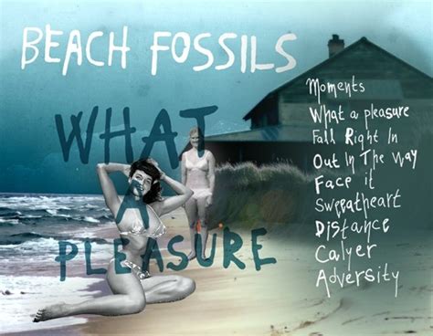 Fan Art Redesign Of Album Beach Fossils Album Cover By Matej Ilčík Album Covers Fan Art In
