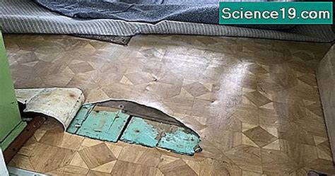 Jak Matematyka Jest Zaangażowana W Zostawanie Farmaceutą 💫 Naukowe I