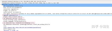 利用wireshark抓包分析websocket原理 风吹稻香 博客园