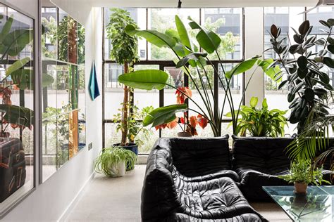 Split Level Apartment Full Of Houseplants Set In A 1937 Modernist