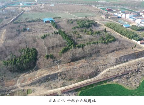 金币网