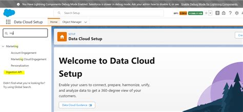 Ingestion Api Mulesy