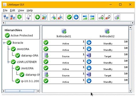 Creating An Oracle Resource Hierarchy Lifekeeper For Linux Live 960