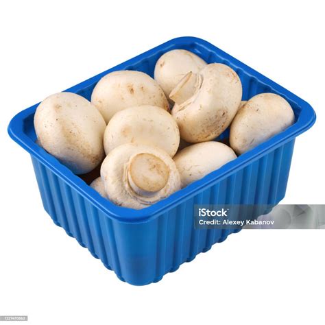 흰색 배경에 고립 된 파란색 상자에 아가리쿠스 비스포러스 버섯 250 그램 전체 흰색 샴페인 버섯 플라시 박스 닫습니다 버섯에 대한 스톡 사진 및 기타 이미지 Istock