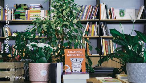 Anemone • ანემონე Home Facebook