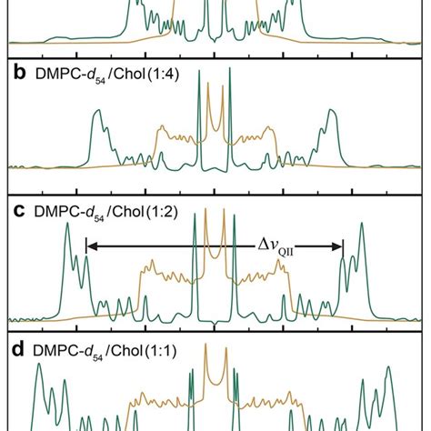 Solid State ²h Nmr Spectroscopy Of Membrane Lipids Provides Both Download Scientific Diagram