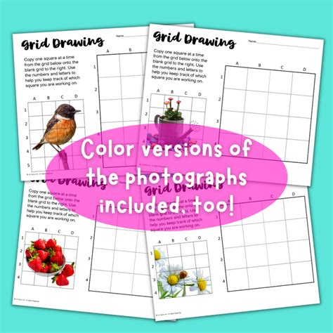 Spring Grid Drawing Worksheets Flowers Birds Bugs Grid Method Art Activities Made By Teachers